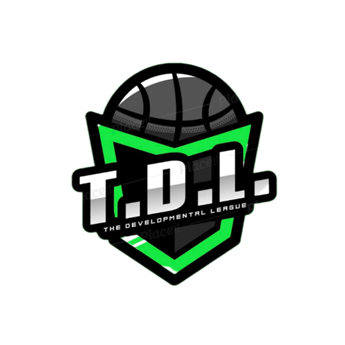 THE DEVELOPMENTAL LEAGUE